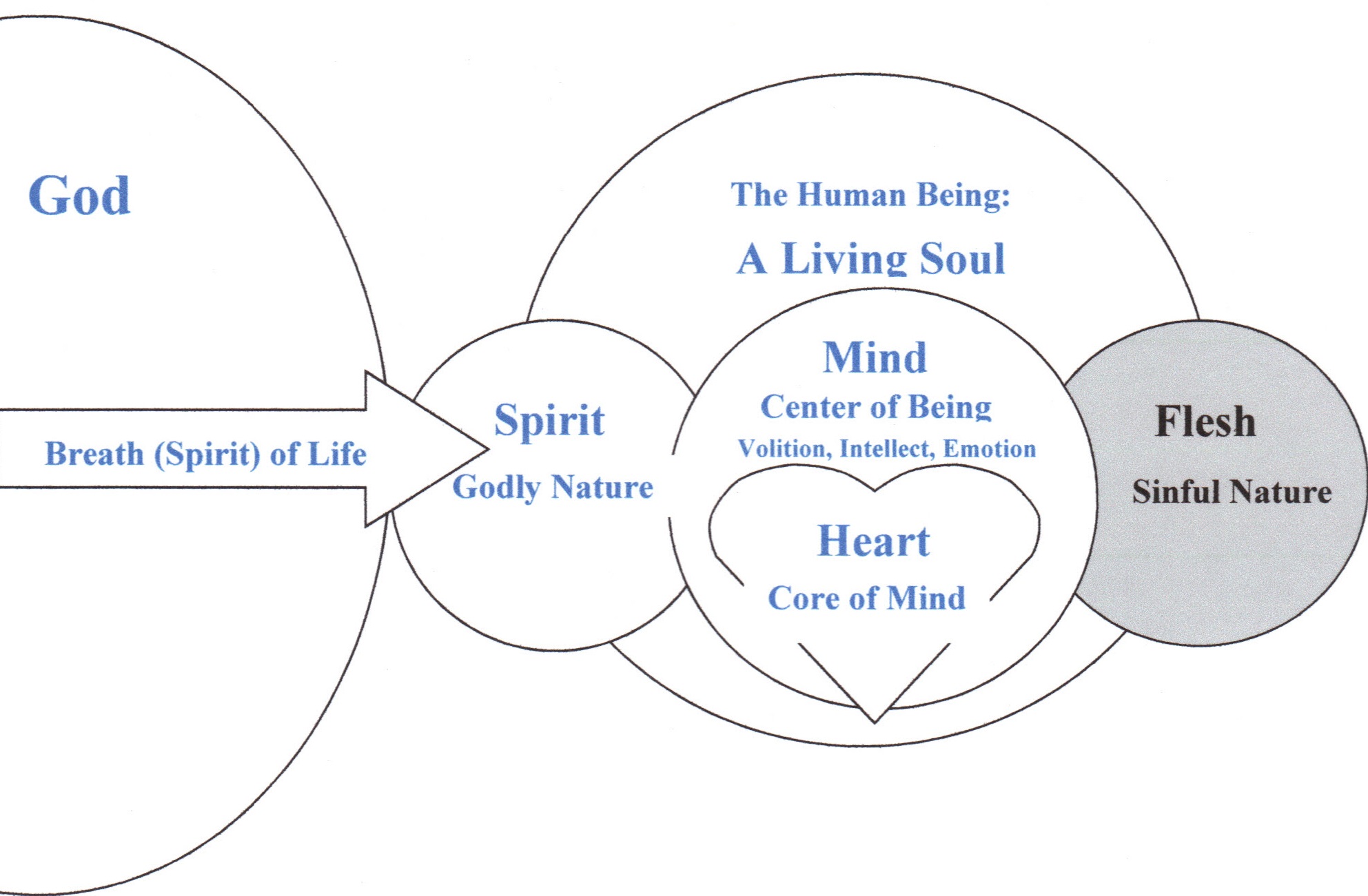 Understanding Human Nature: Spirit, Mind & Body